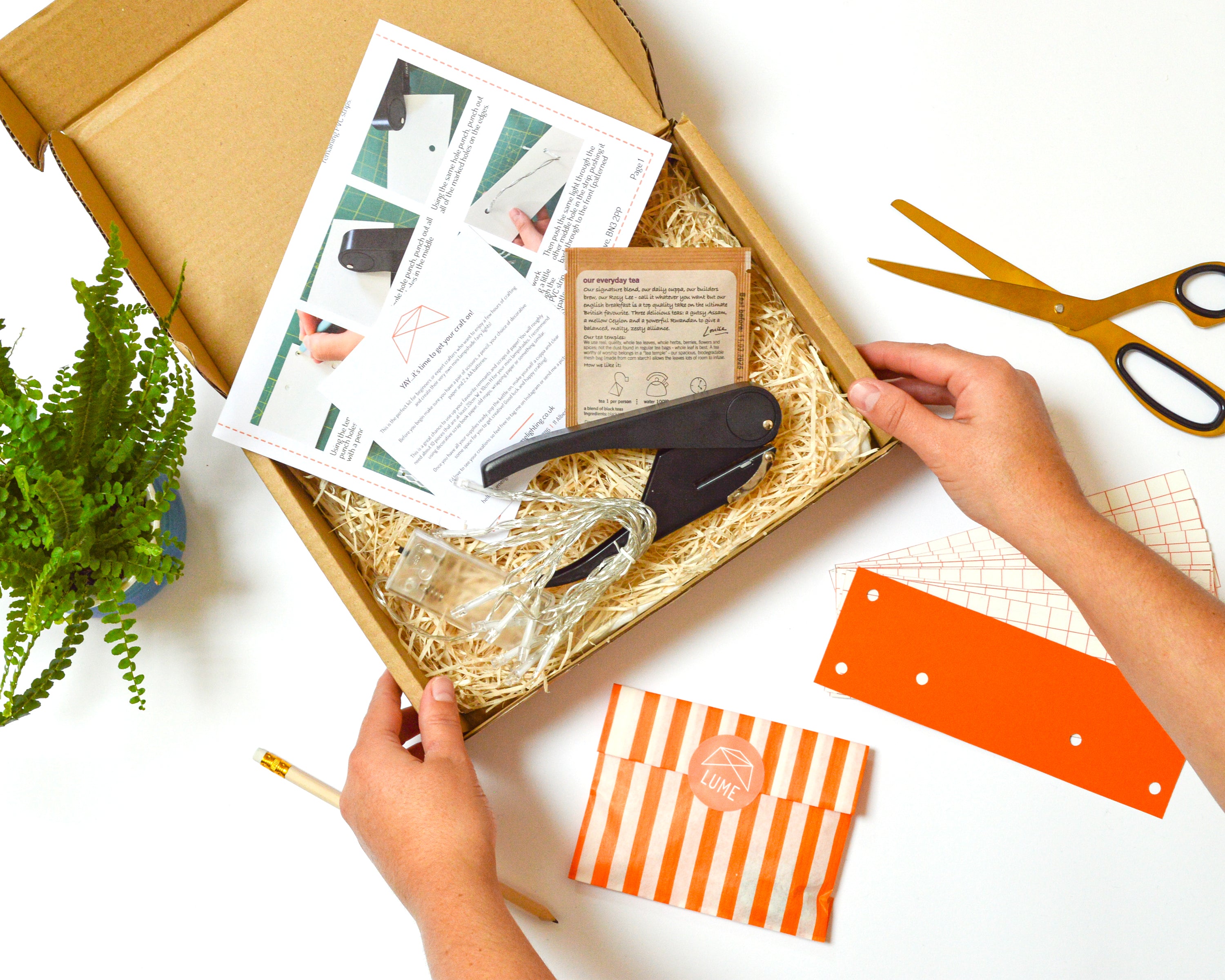 Fairy Light Making Kit – lumelighting