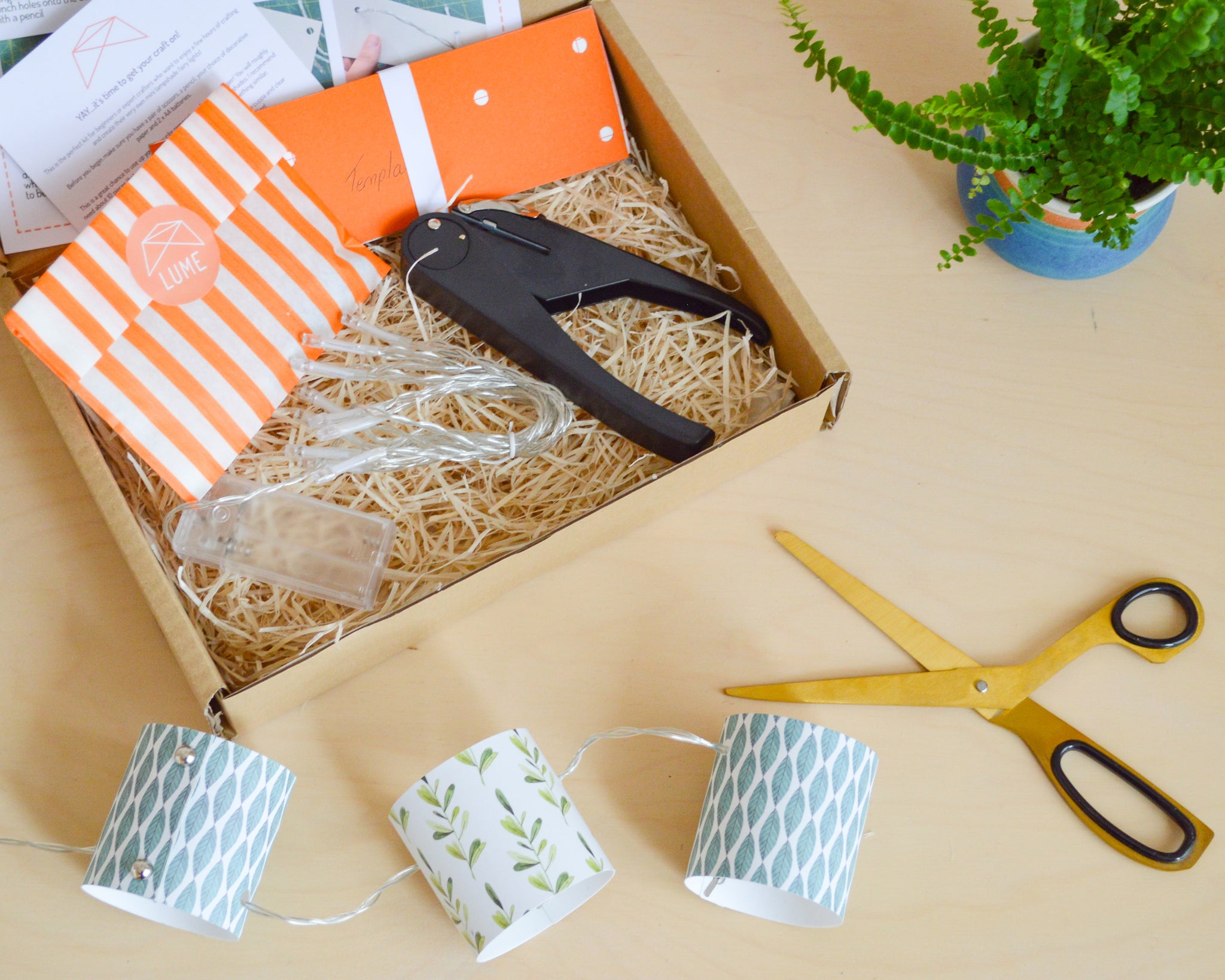 Fairy Light Making Kit – lumelighting